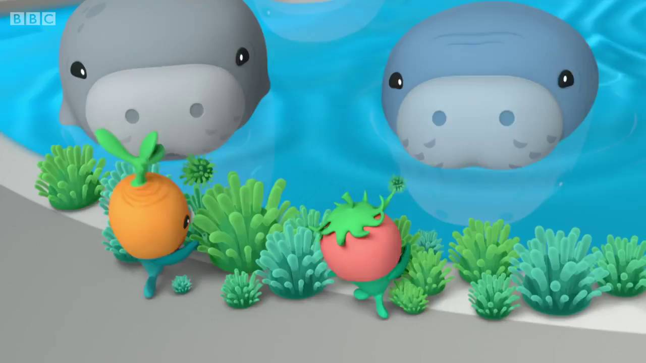 Octonauts The Manatees - YouTube