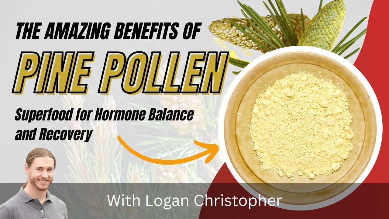The Amazing Benefits of Pine Pollen, Superfood for Hormones & Recovery ...