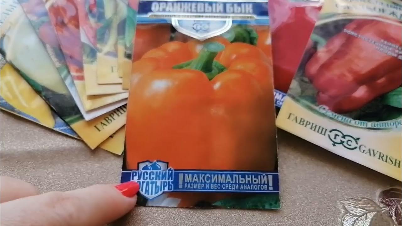 Перец "Оранжевый бык" от агрофирмы Гавриш. Обзор семян к сезону 2023 ...