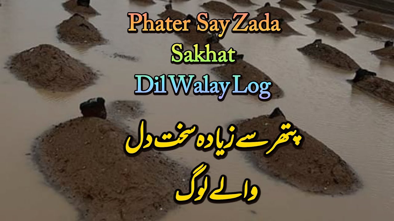 Phater Say Zada Sakhat Dil Walay Log || پتھر سے زیادہ سخت دل والے لوگ ...