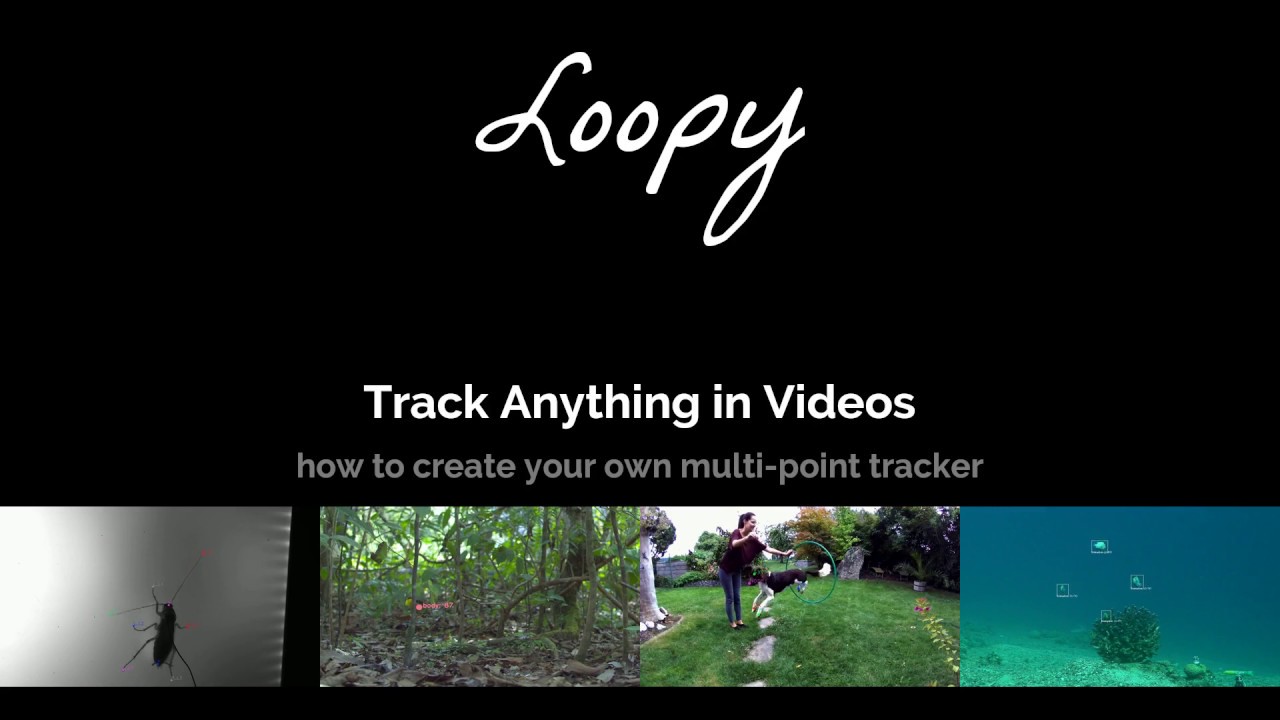 Loopy: Animal Pose (multi-point / body-part) Tracking - YouTube