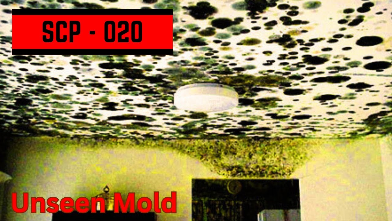SCP - 020: Unseen Mold - Documentation - YouTube