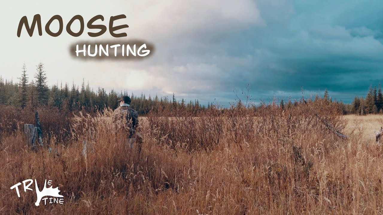 Solo September Moose Hunting BC 2024 - YouTube