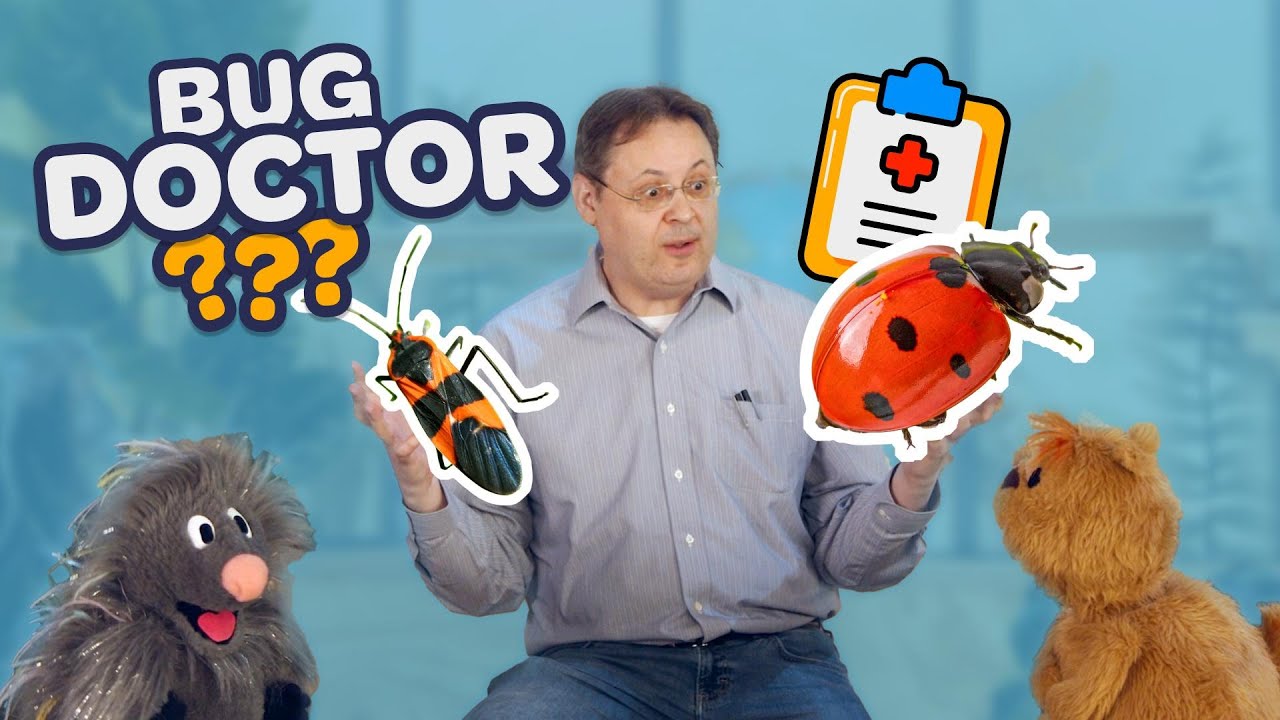 Do Bugs Have Jobs? All About Insects with Dr. Michael Engel | S.T.E.A.M ...