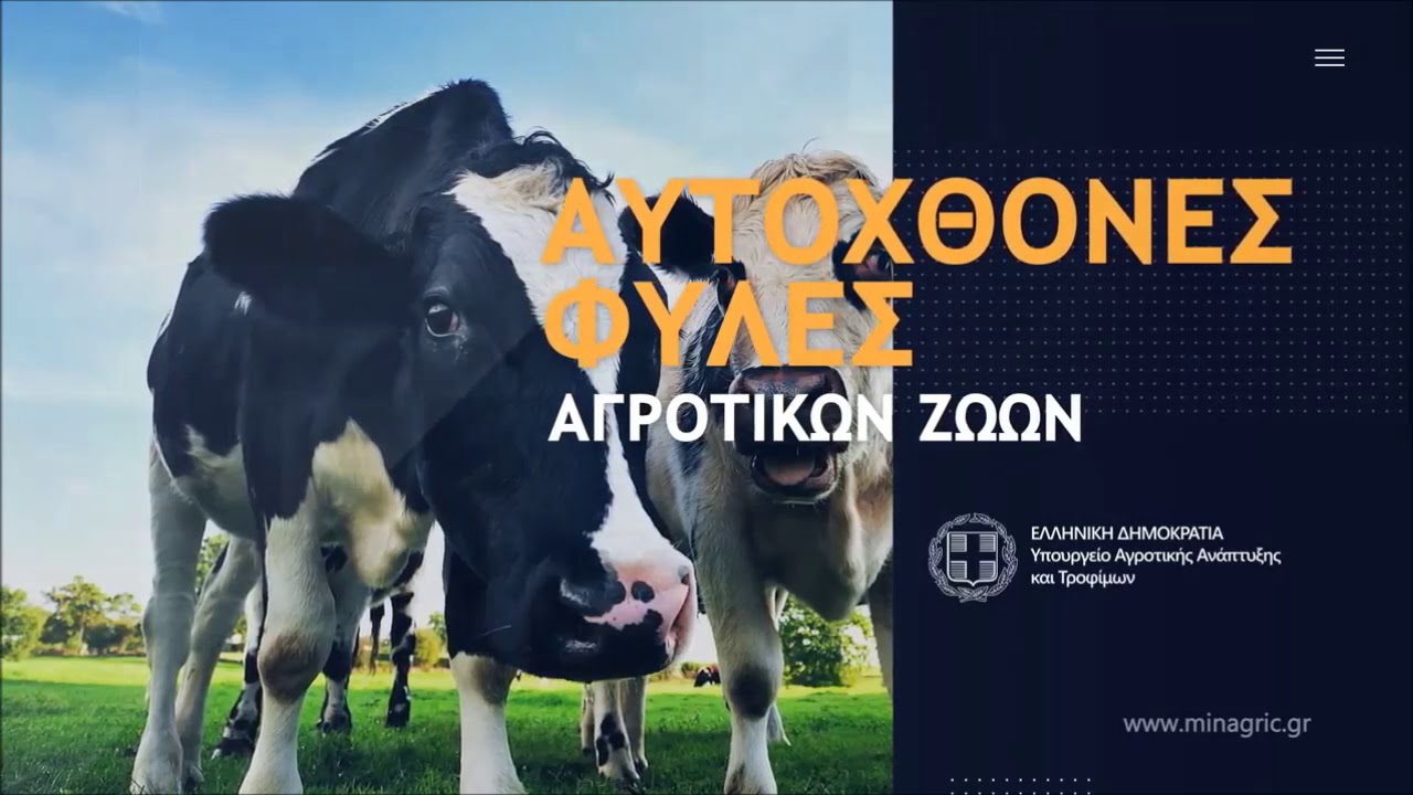 Ελληνικές αυτόχθονες φυλές αγροτικών και οικόσιτων ζώων - YouTube