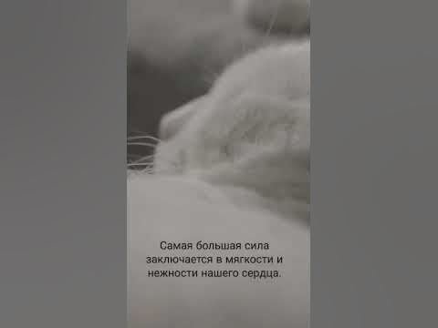 Мысли вслух. - YouTube