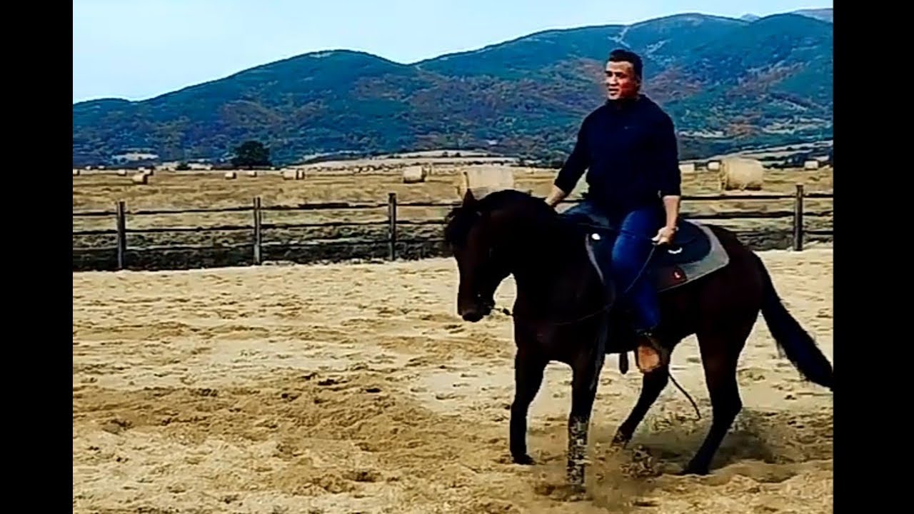Rambo 5, Sylvester Stallone, Training with a horse, New video - YouTube