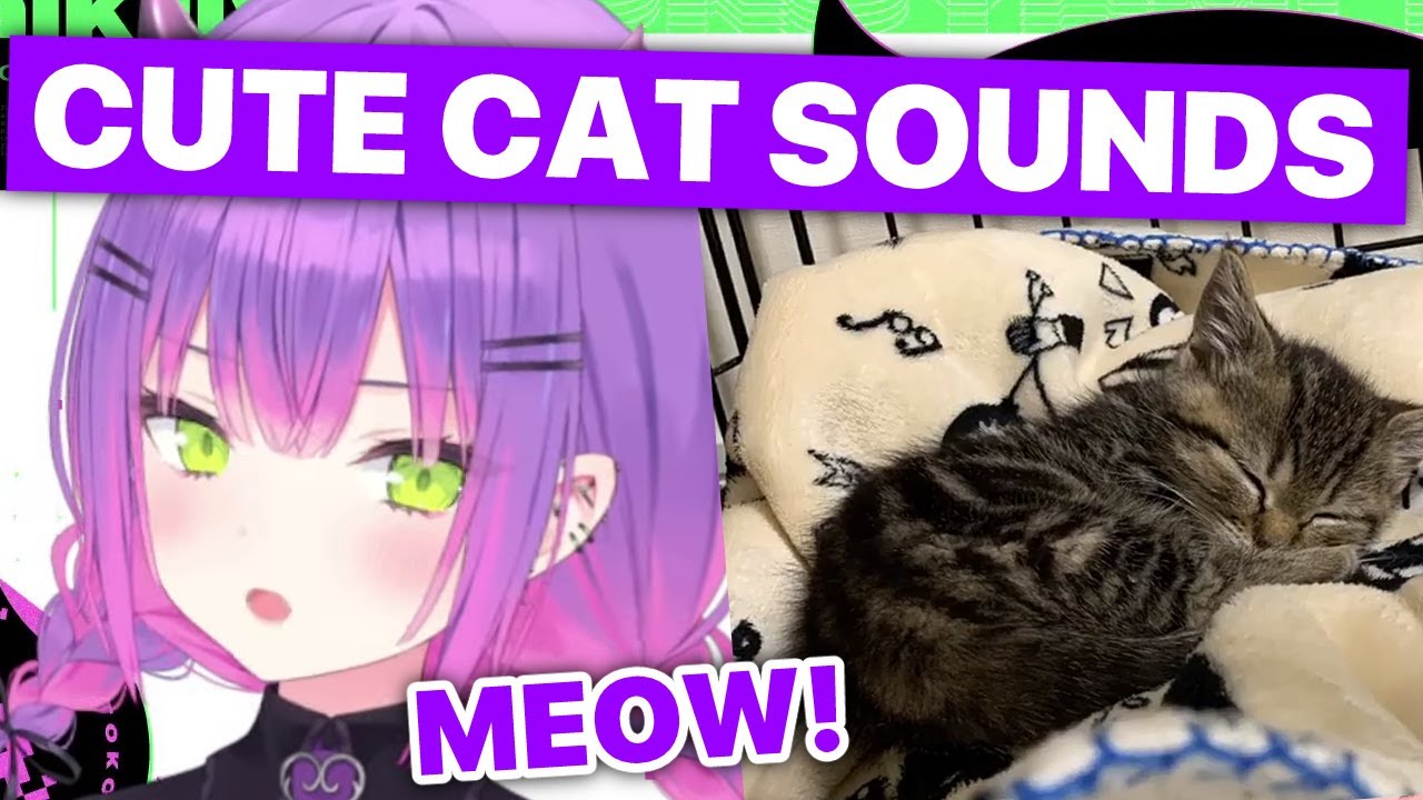 Towa's Cutely Mimicks Her Cat's Noises (Tokoyami Towa / Hololive) [Eng Subs] - YouTube