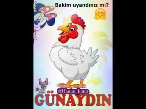 Ateş böceği şarkısı. ( Günaydın  videosu )