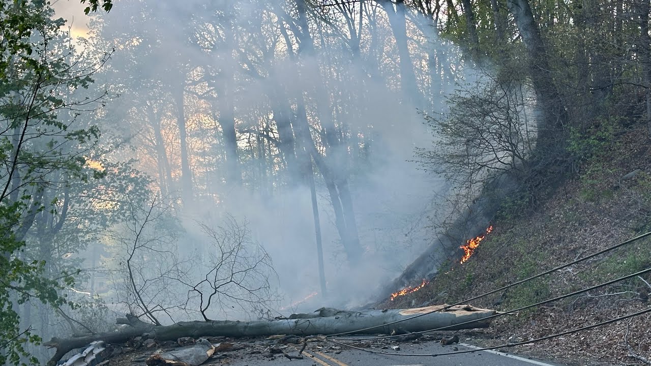 *Pre-Arrival* Totowa Fire Dept Operating At A Brush Fire With A Tree ...
