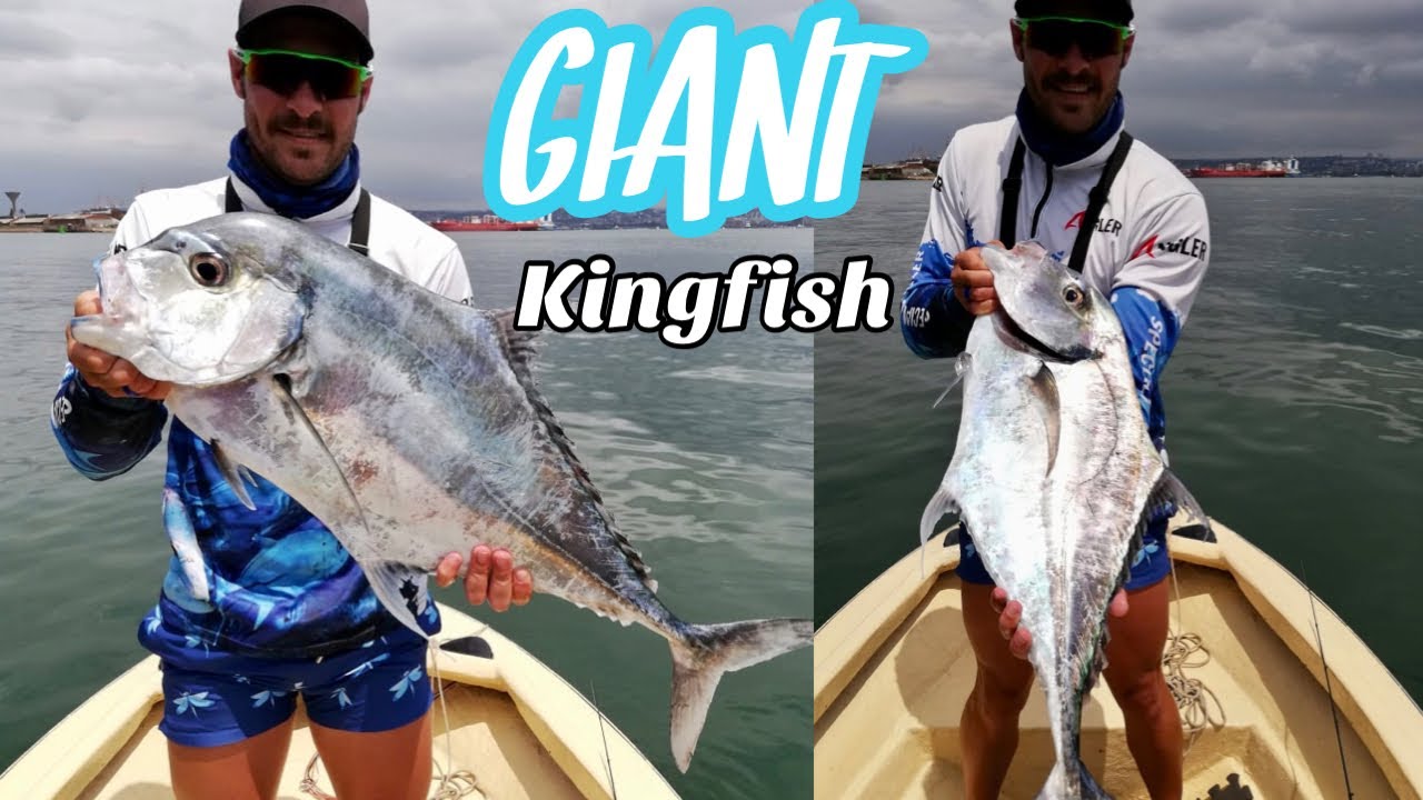 Fishing Durban Harbour - GIANT KINGFISH !!! - YouTube