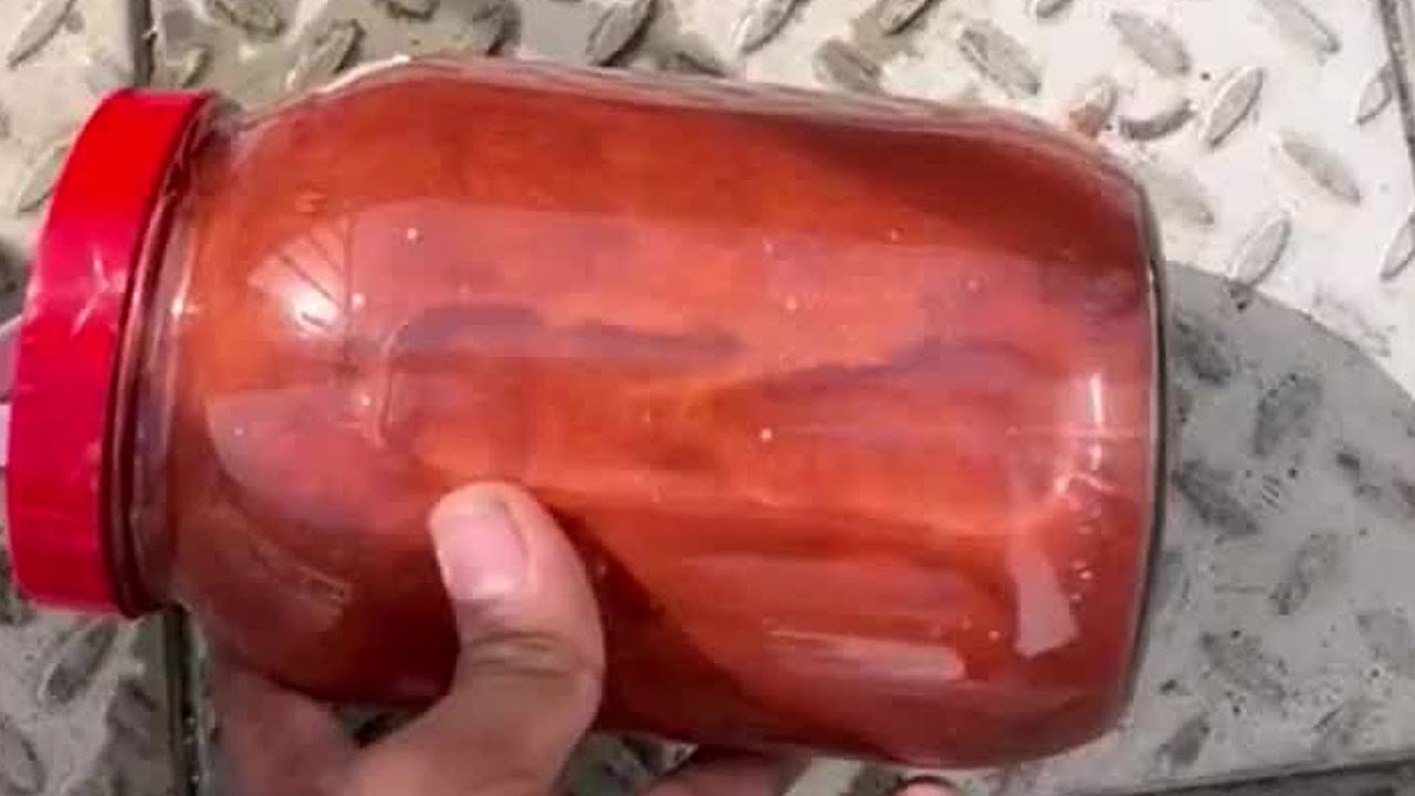 Breaking Glass Bottles & Balloon Drops 😱🔥 Satisfying Crushing of Crunchy & Soft Things! - YouTube