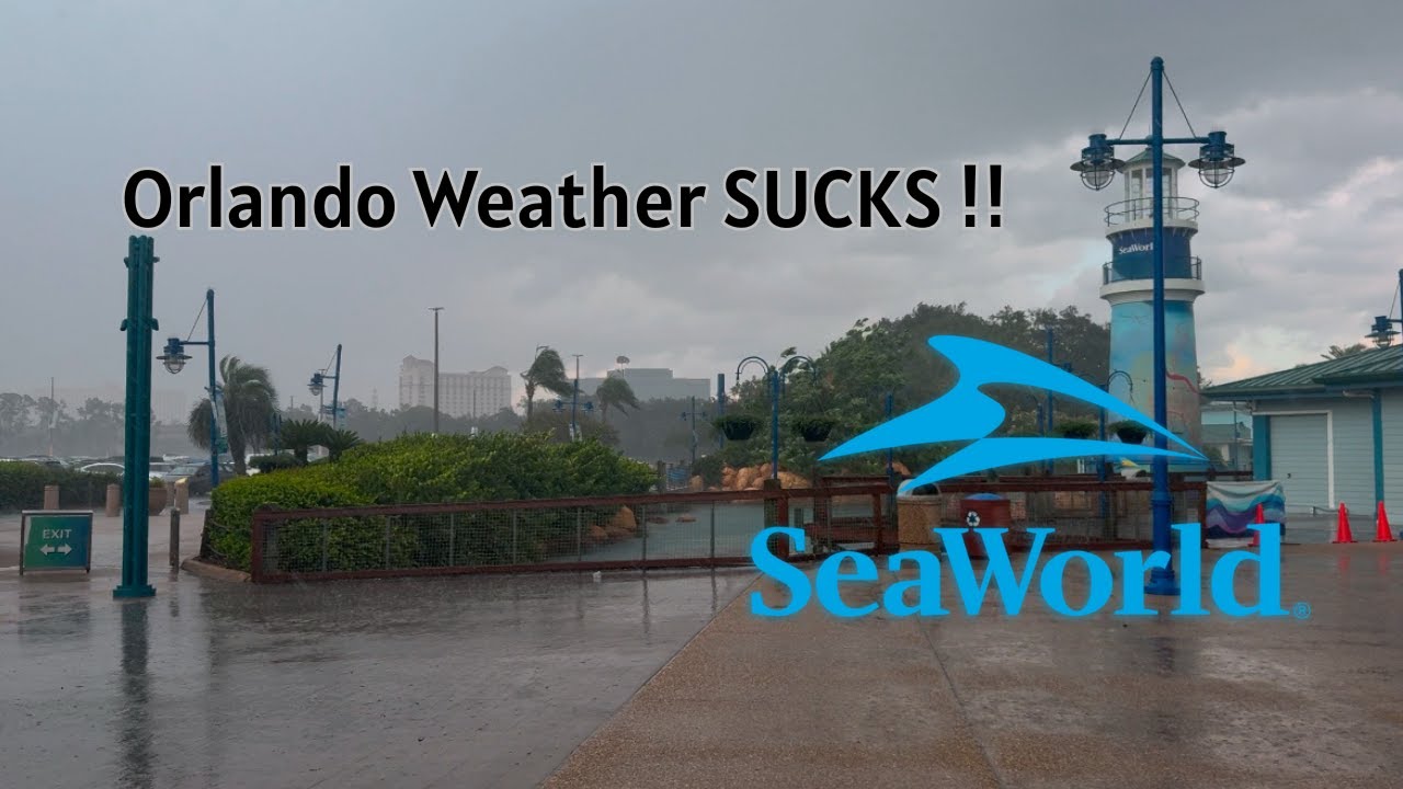 Fighting the weather at Seaworld! First day in Florida! - Vlog at ...
