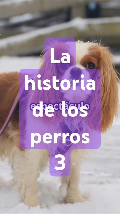 La historia de los perros 3 - YouTube