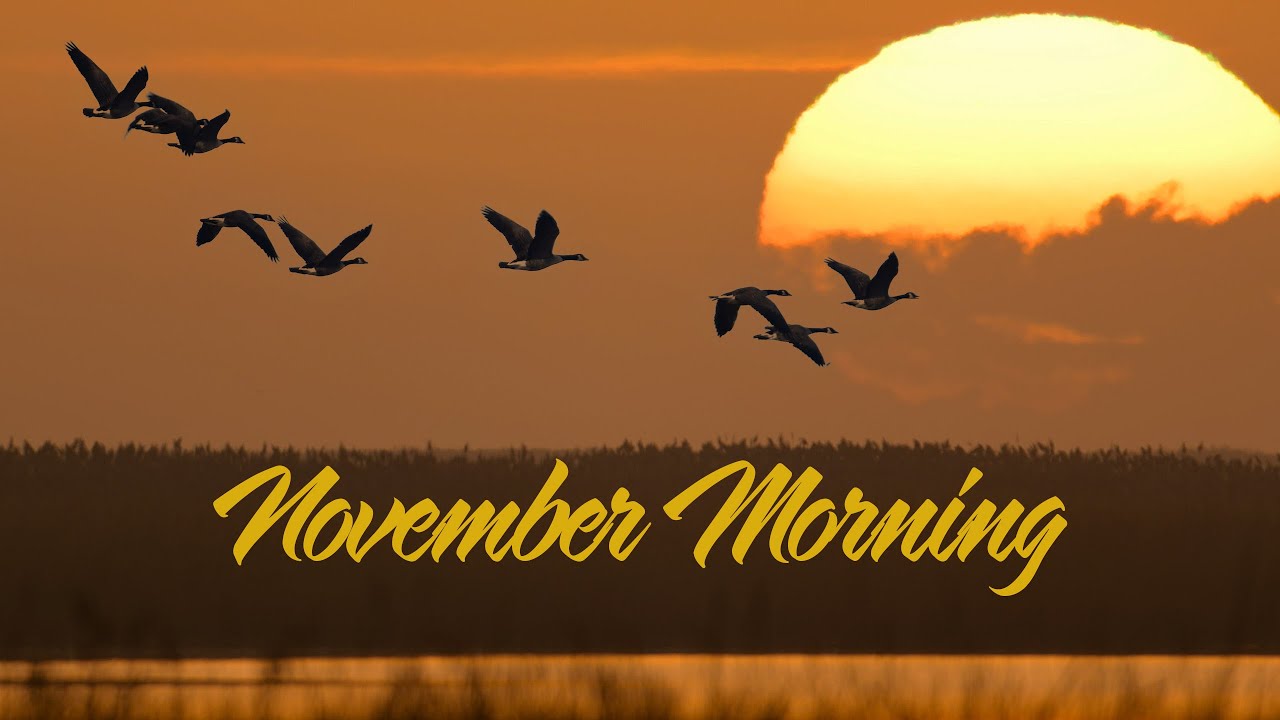 A November Morning - YouTube
