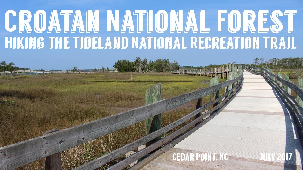 Tideland National Recreation Trail | Croatan National Forest ...