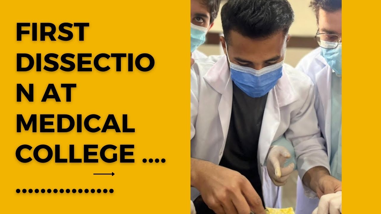 First dissection at medical college(RMU) VLOG @Mr.doctor.d - YouTube