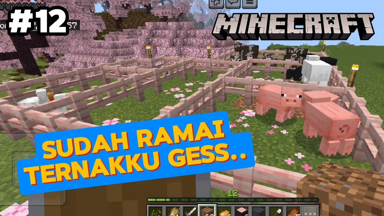 Mencari Hewan Ternak | Minecraft Part 12 | No Commentary - YouTube
