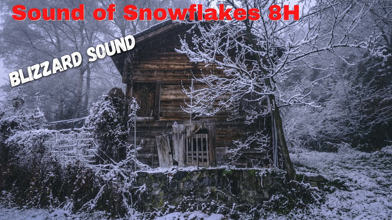 Barn In Snowstorm. Sound Of Blizzard And Snowflakes For Relaxation 8 ...