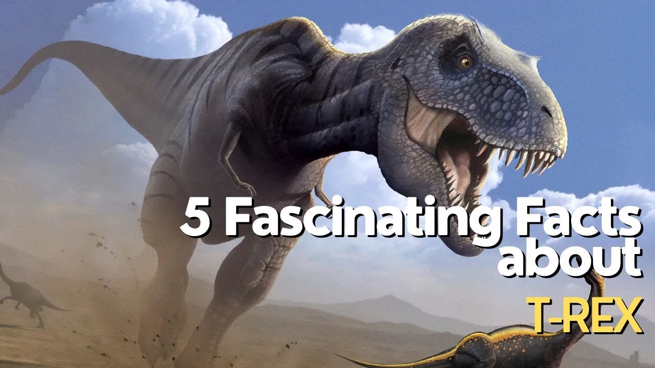 The T-Rex: 5 Fascinating Facts About the King of the Dinosaurs - YouTube