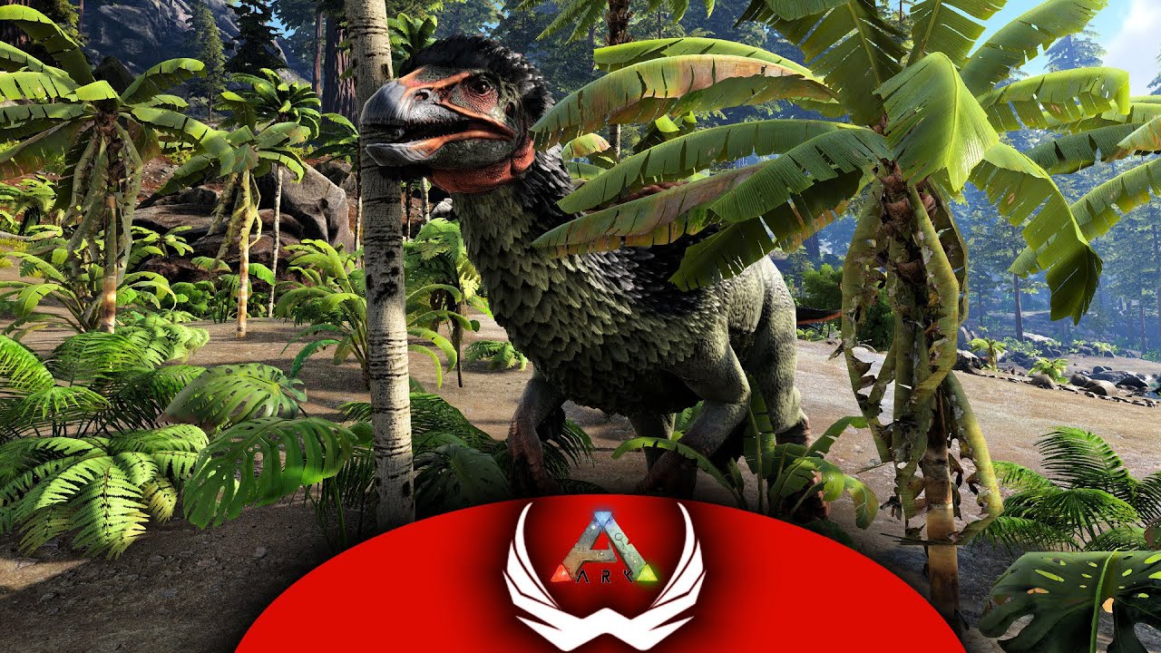 Tickle Chicken How Many 150 s Journey Through The Ark EP22 YouTube