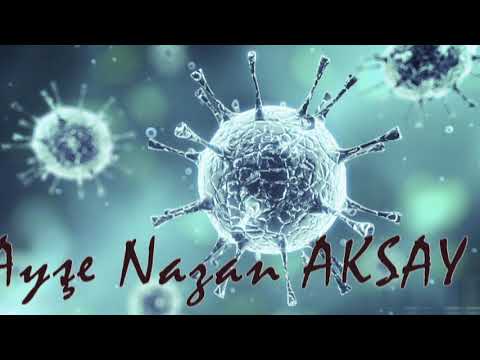 17 ŞAİR DEDİLER TEDBİR AL EVDE KAL & SESLENDİREN: Mustafa KARAAHMETOĞLU