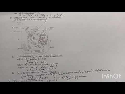 Biology form 1 quick revision Questions and Answers in detail ...