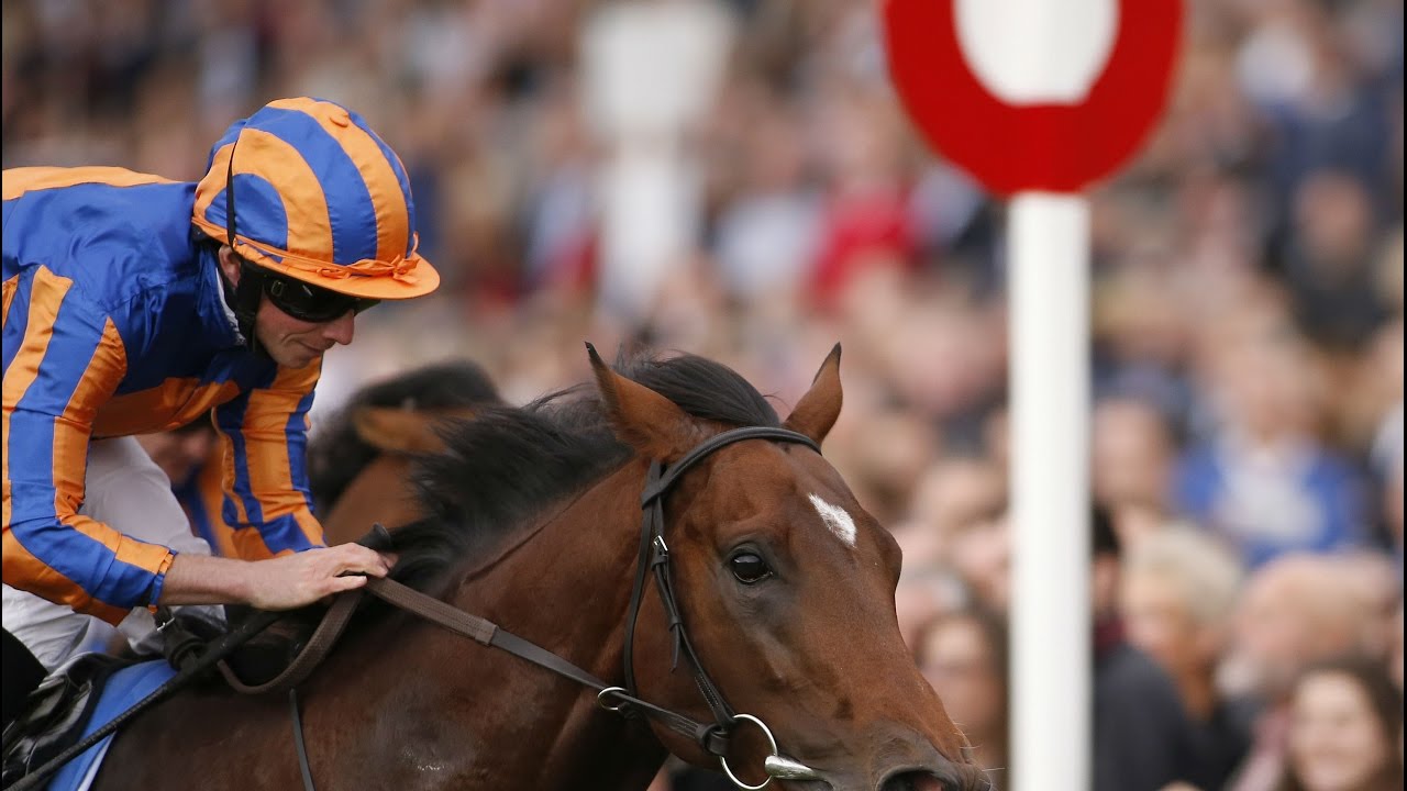 Churchill - Galileo European Breeders Fund Futurity Stakes - YouTube