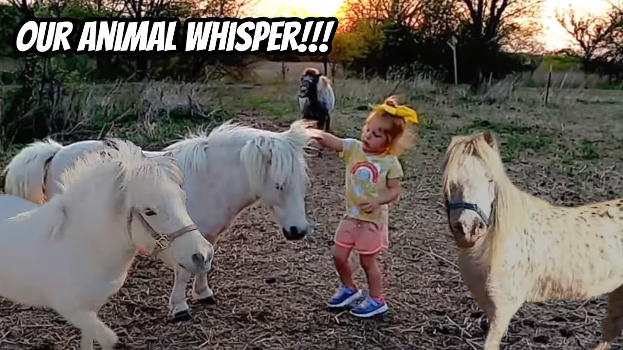Our Animal Whisper Doing What She Does Best!!! | We Had To Move The ...