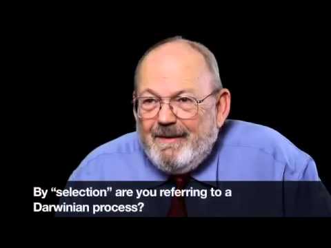 Do human Races Exist with Professor Henry Harpending - YouTube