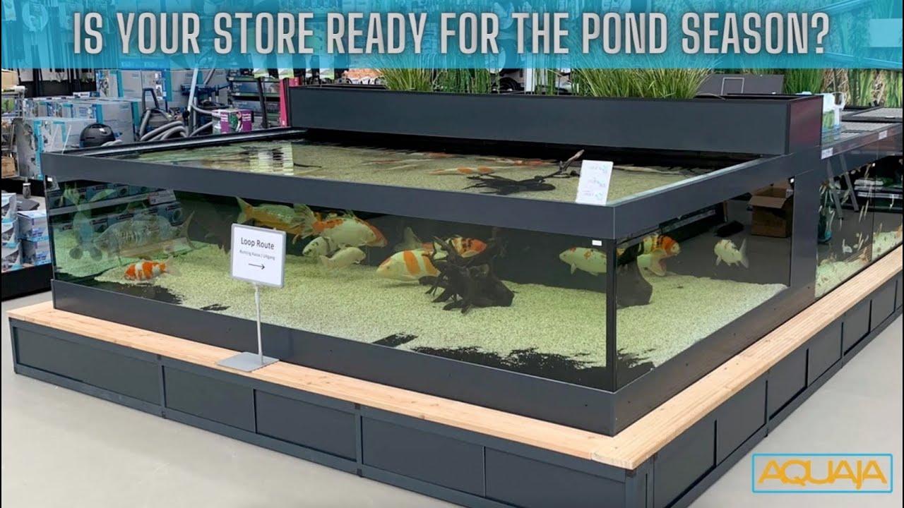 Is your pond department ready for the new pond season? - YouTube