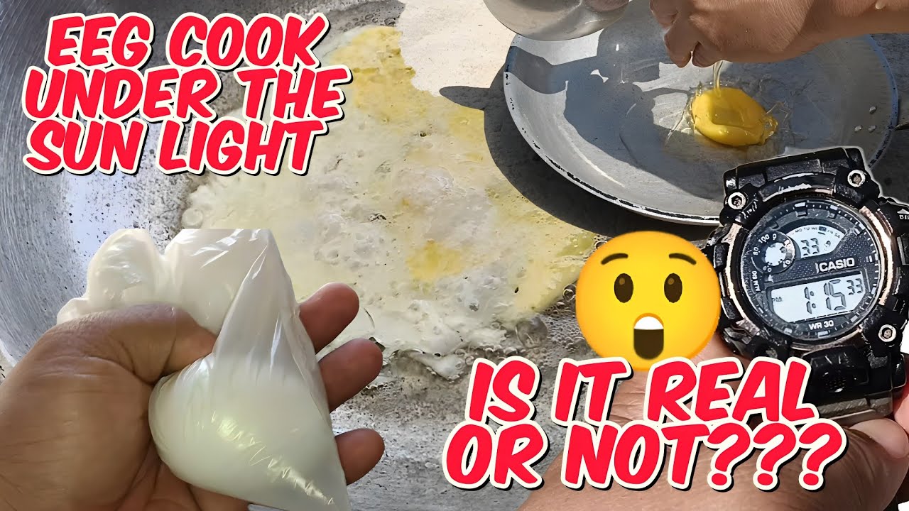 EGG COOK UNDER SUN LIGHT | IS IT REAL OR NOT#food - YouTube
