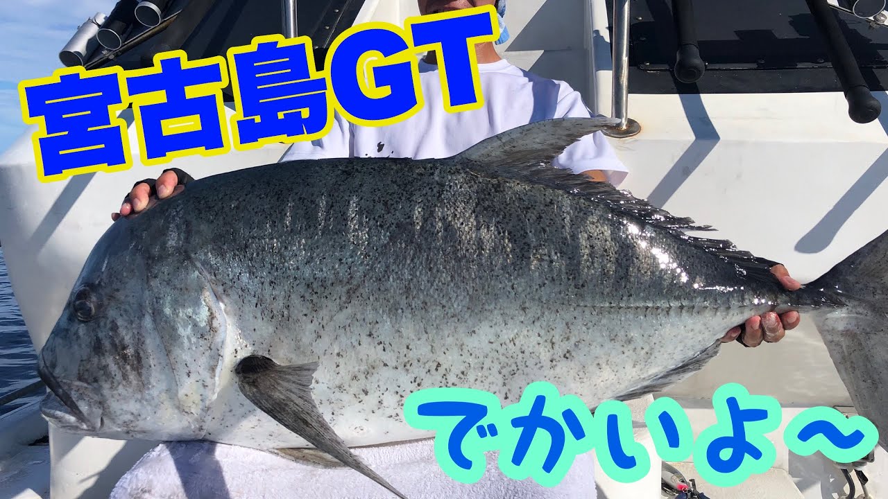 【宮古島】 GT Fishing - YouTube