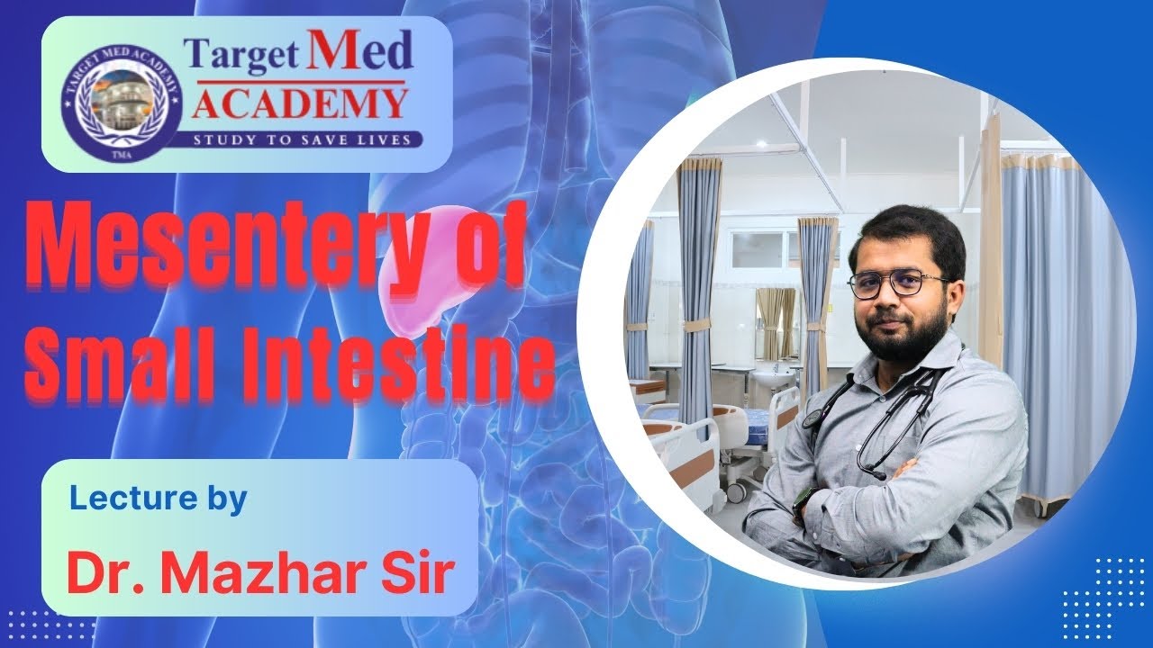 Mesentery of the Small Intestine - YouTube