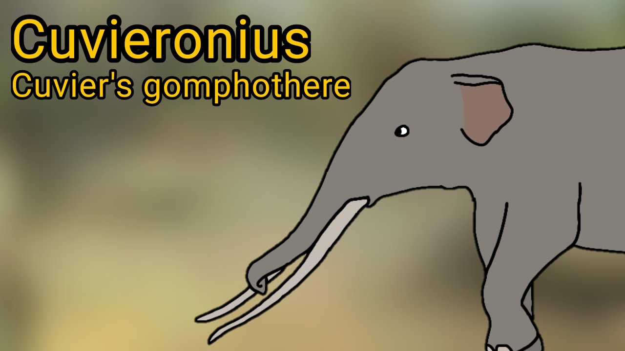 Cuvieronius. Cuvier's gomphothere. - YouTube
