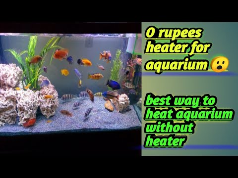 Heat your aquarium without heater!||how to keep aquarium without heater ...