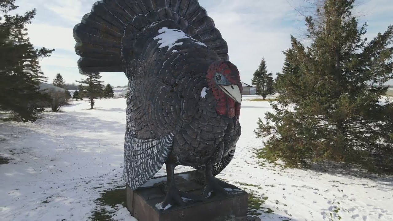 Finding Minnesota: Frazee’s Top Turkey - YouTube