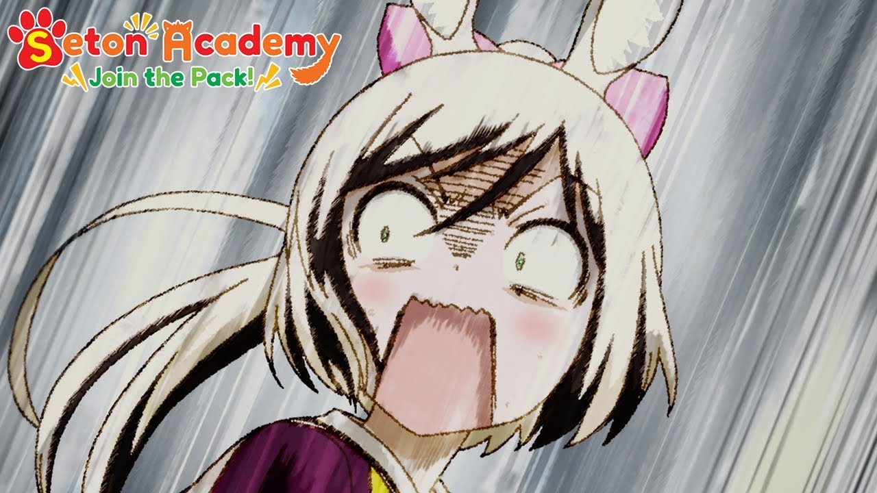 Zebra Aren't Horses | Seton Academy: Join the Pack! - YouTube