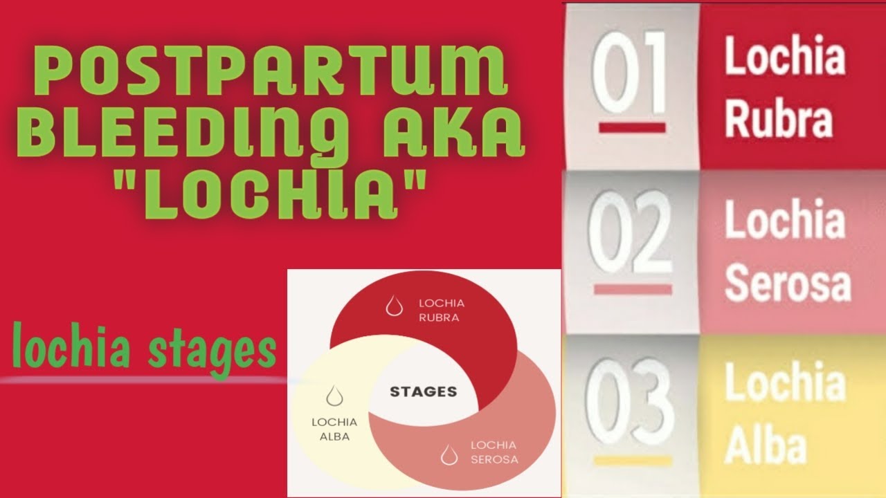 LOCHIA|| DEFINITION, TYPES, CHARACTER, COMPOSITION, CLINICAL IMPORTANCE ...