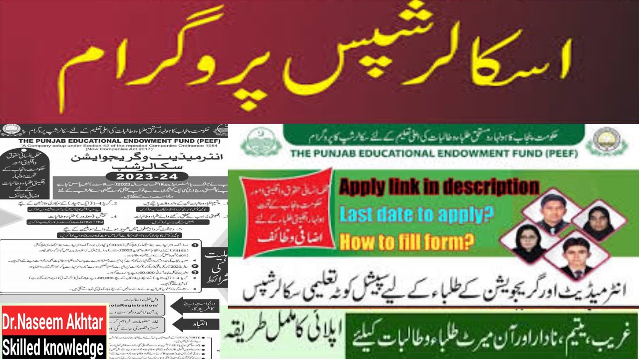 Punjab Education Endowment Fund (PEEF)|| How to Apply for PEEF ...