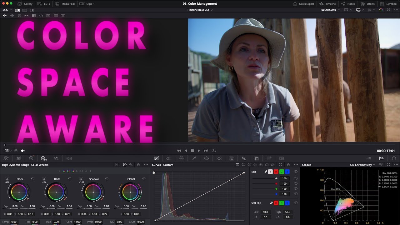 Capire gli strumenti Color Space Aware in DaVinci Resolve – spiegato ...