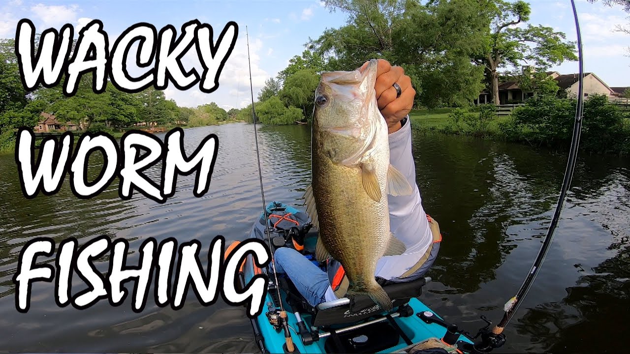 Fishing a Wacky Worm // I'm PRO STAFF!!!!! - YouTube