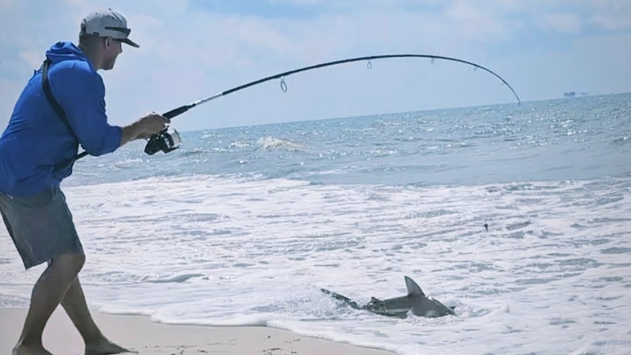 SURF FISHING AND CAUGHT 5 SHARKS FROM THE BEACH [GULF SHORES AL] - YouTube