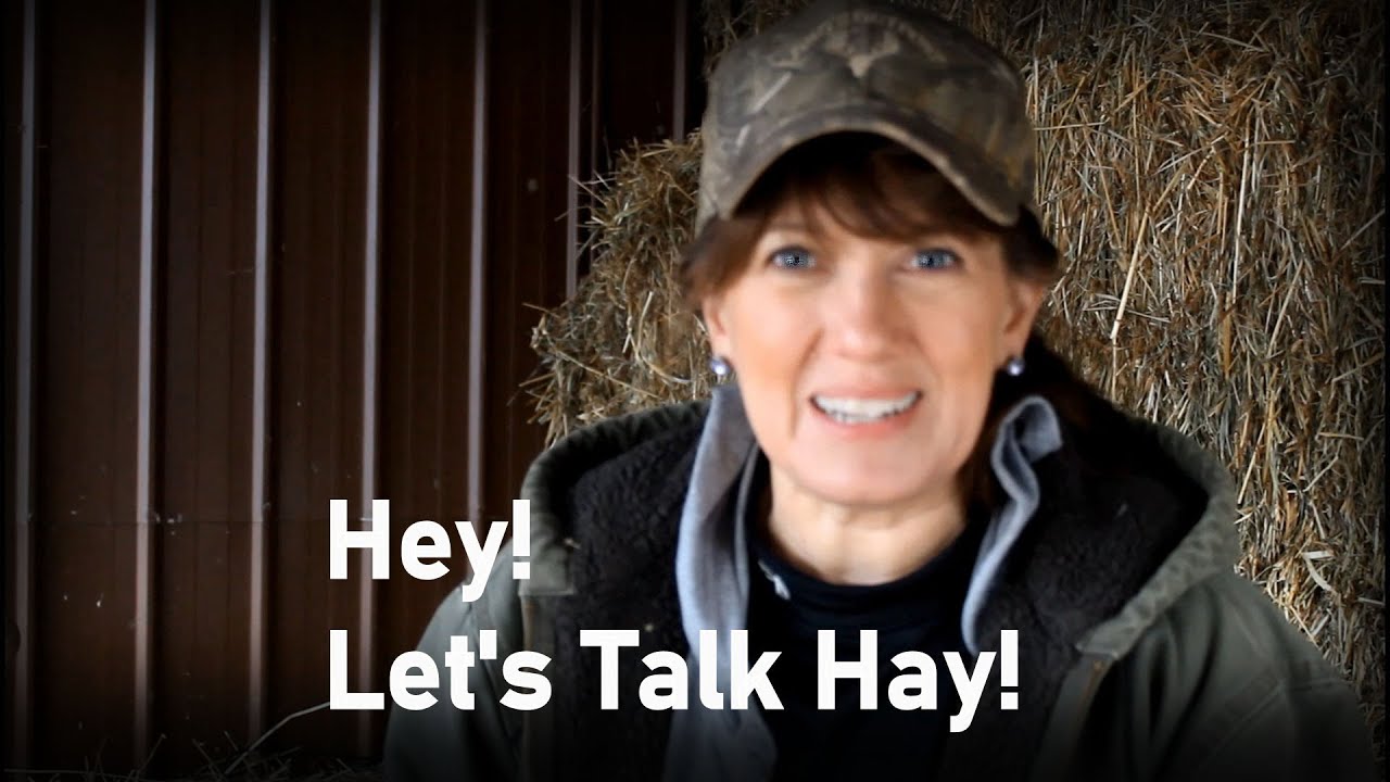 Hay at the Homestead – An overview of Hay for the New Homesteader or ...