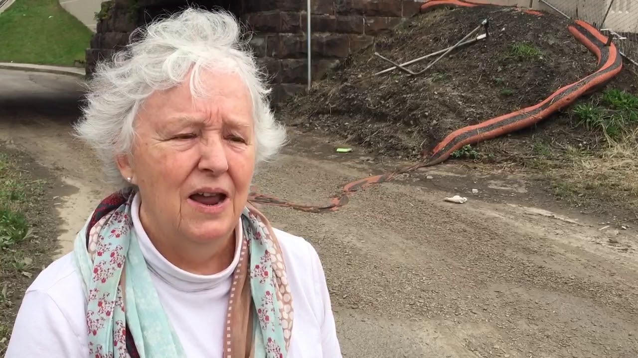 ‘You have to walk three or four blocks’: Advocate questions safety ...