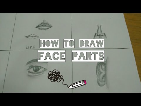 How To Draw Face Parts - YouTube