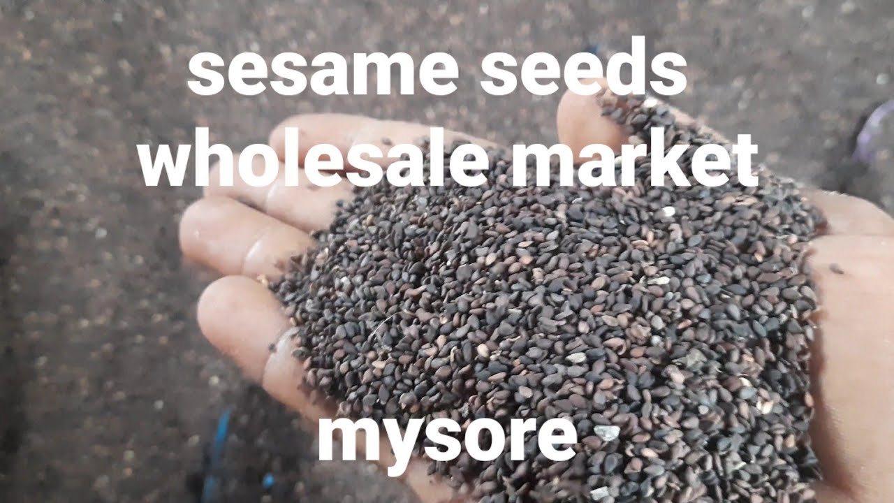 how to buy sesame seeds in wholesale price - YouTube