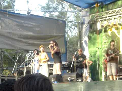SuburBand Reggae!