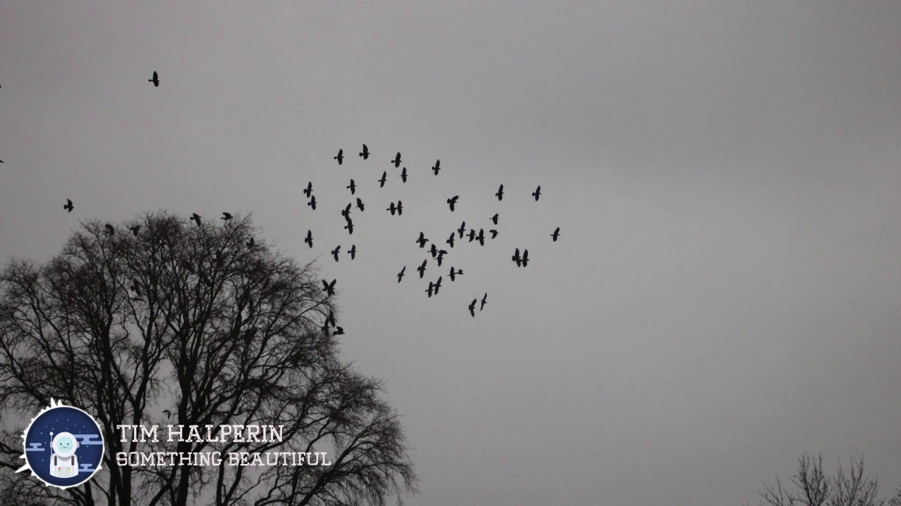 Tim Halperin - Something Beautiful - YouTube