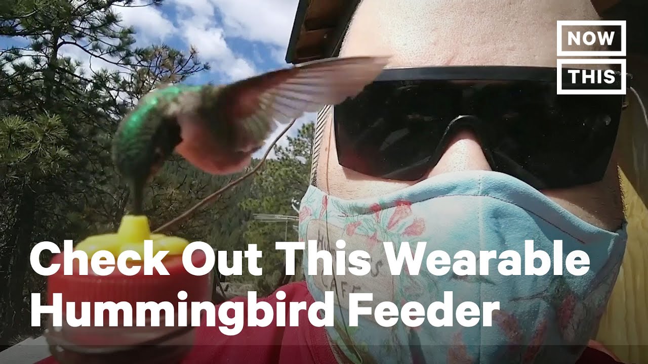 Check Out This Wearable Hummingbird Feeder | NowThis - YouTube